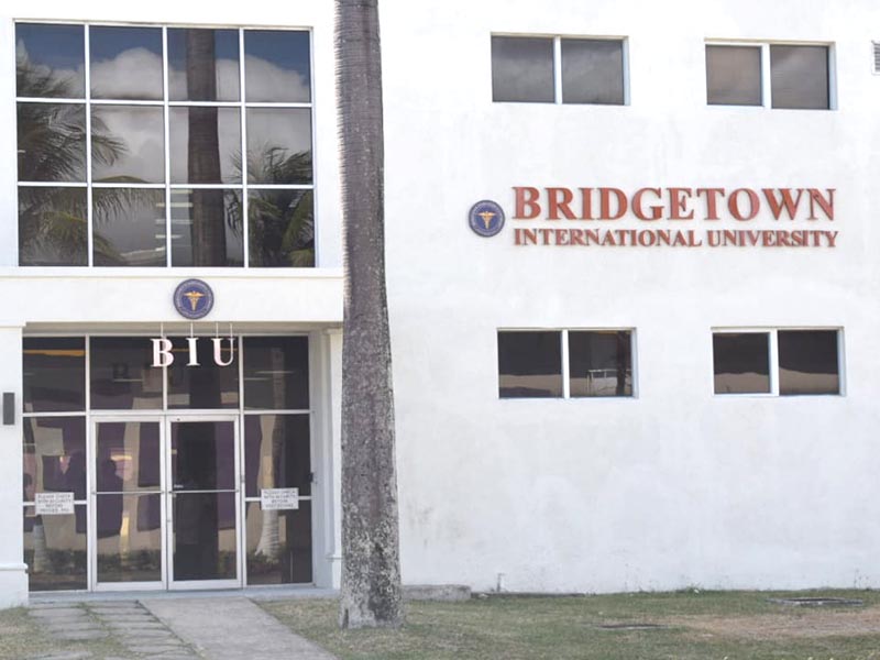 Bridgetown International University - Career Advice