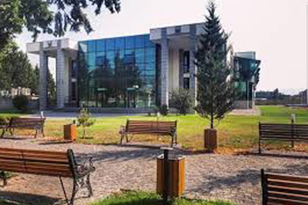 Grigol Robakidze University – Career Advice