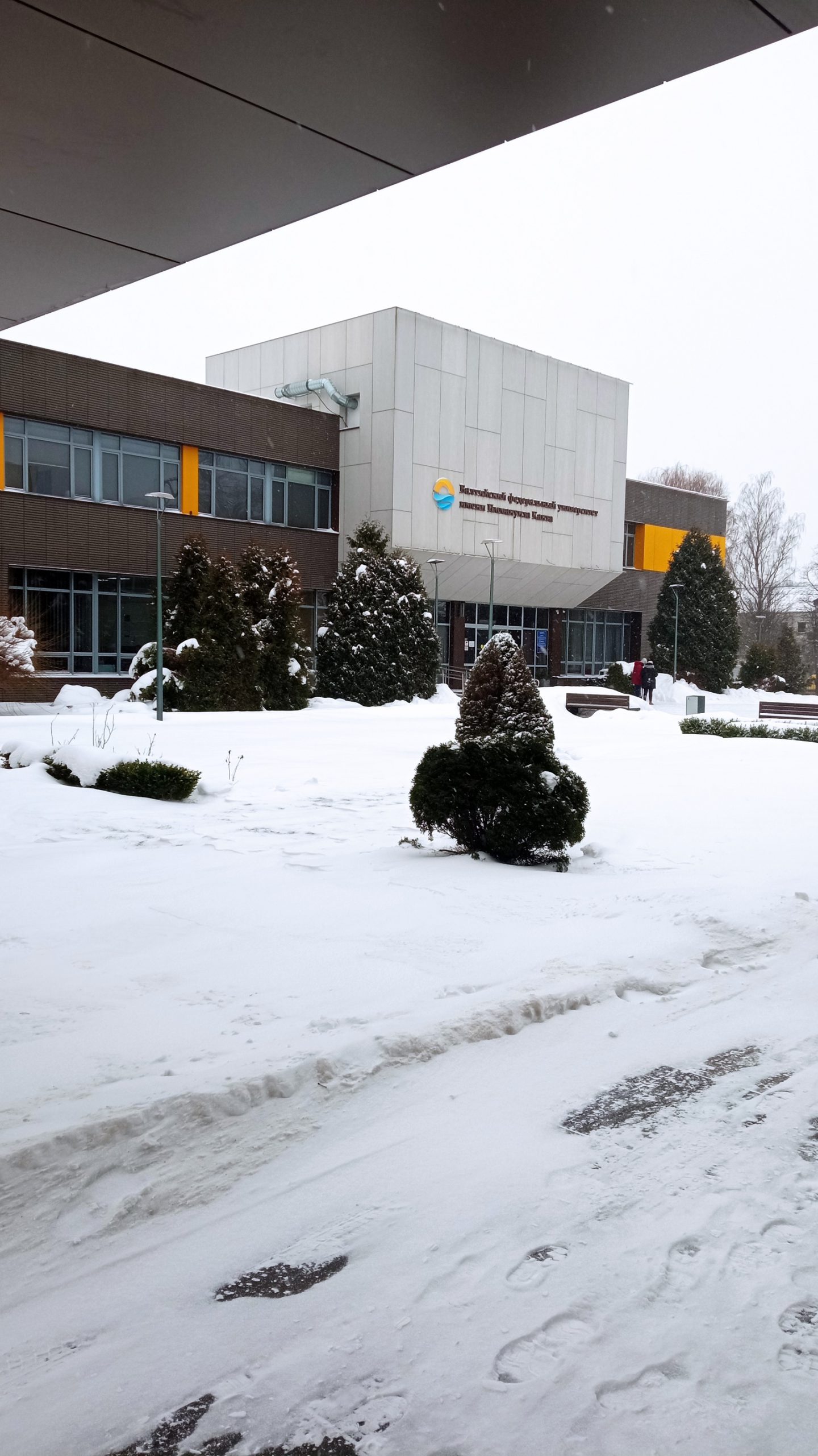 Immanuel Kant Baltic Federal University – Career Advice