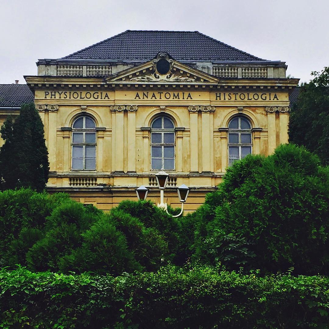 Danylo Halytsky Lviv National Medical University – Career Advice